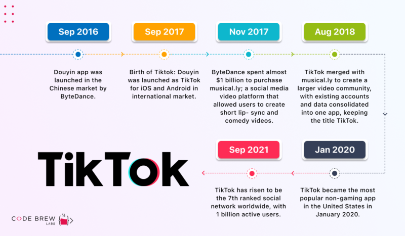TikTok Business Model: How TikTok Can Generate Revenue For Your Business? - Code Brew Labs